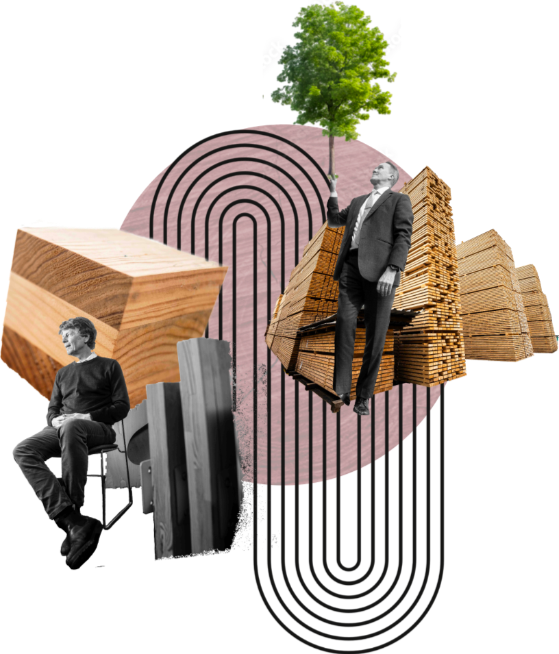 Future of Timber | Evolving Forests